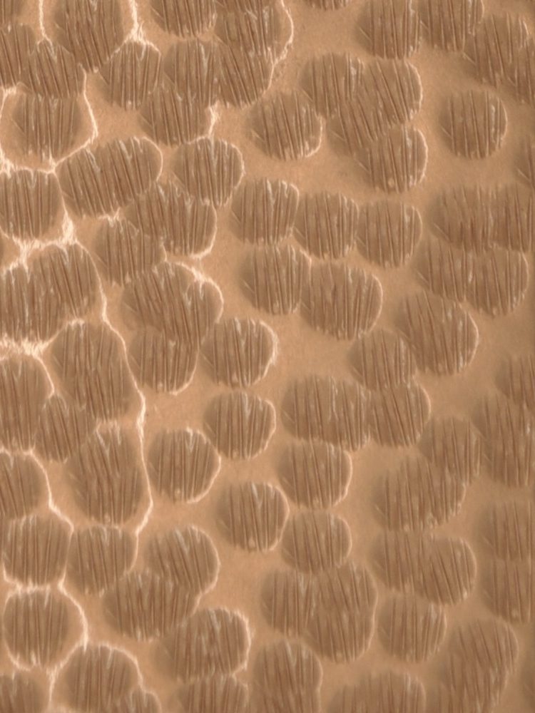 Bronze Finish Samples｜KIKUKAWA